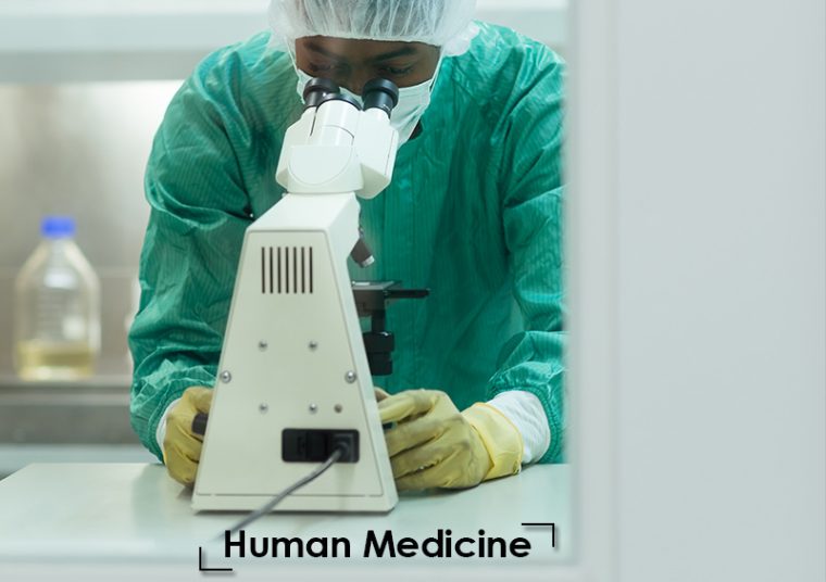 Kampala Pharmaceutical Industry – Leading local pharmaceutical ...